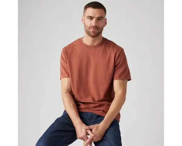 LEVI'S The Essential T-shirt