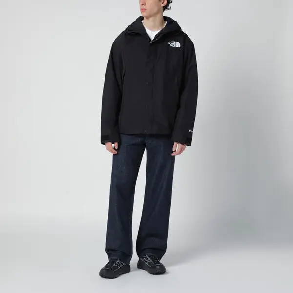 The North Face Gore-tex Mountain Jacket