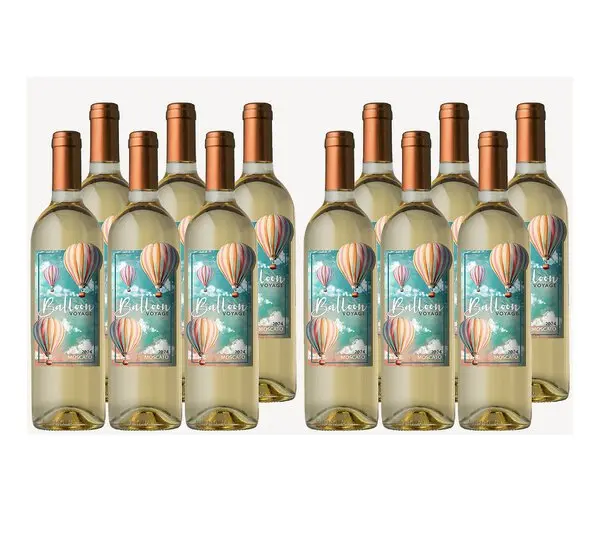 VINO VOYAGE Moscato Makes My Day 12 Bottles - One-color