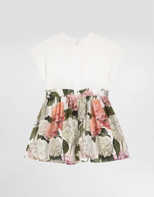 Dolce & Gabbana Hydrangea-print Jersey And Poplin Dress
