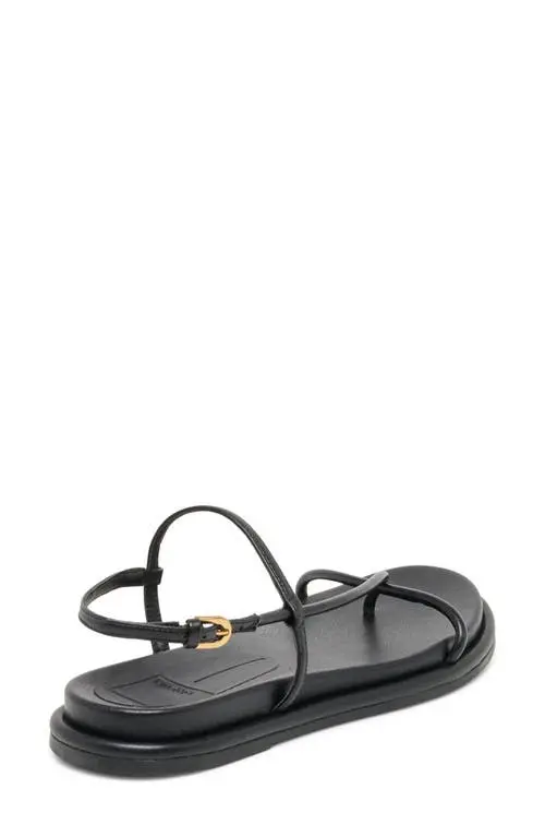Dolce Vita Strappy Sandal - Black Leather