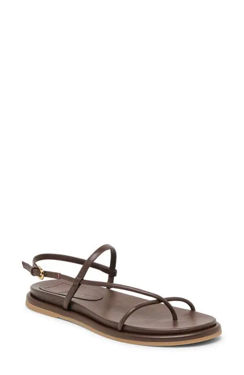 Dolce Vita Strappy Sandal - Dark Brown Leather