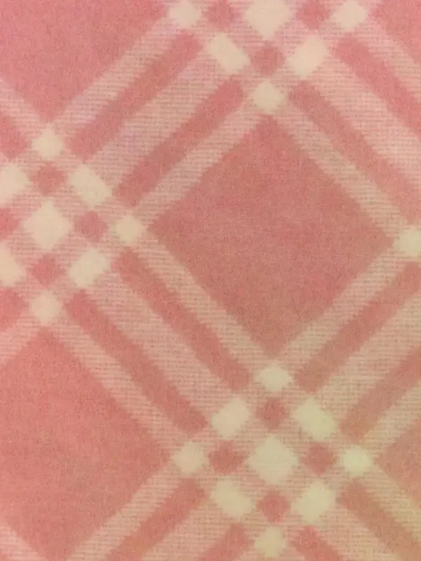 Burberry Embroidered Checked Scarf