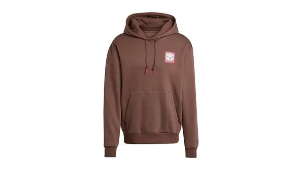 Adidas Graphic Hoodie