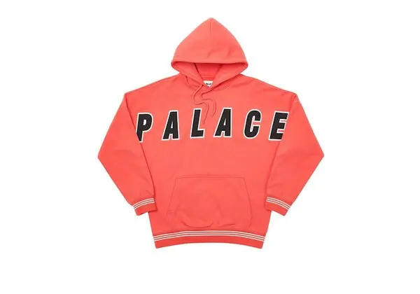 PALACE Full Frontal Hood