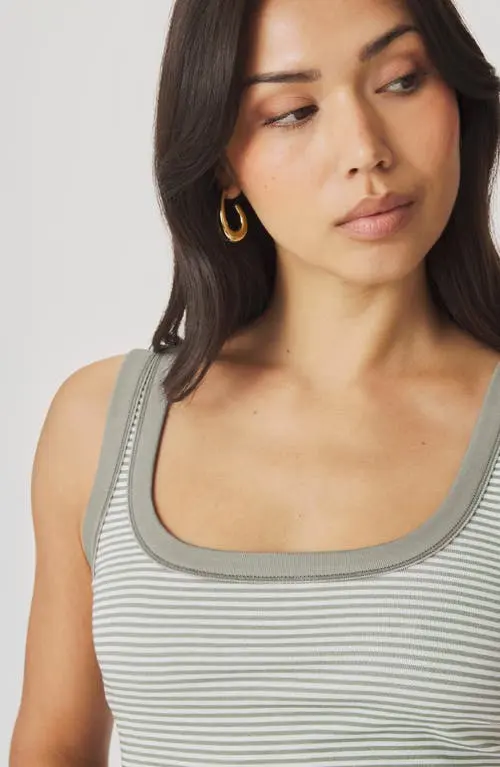 Splendid Josie Stripe Tank - Eucalyptus Green/white