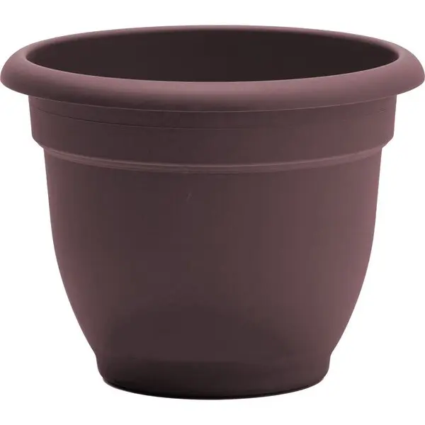 BLOEM Ariana 13 Inch X 7 Inch Gardening Pot - Brown
