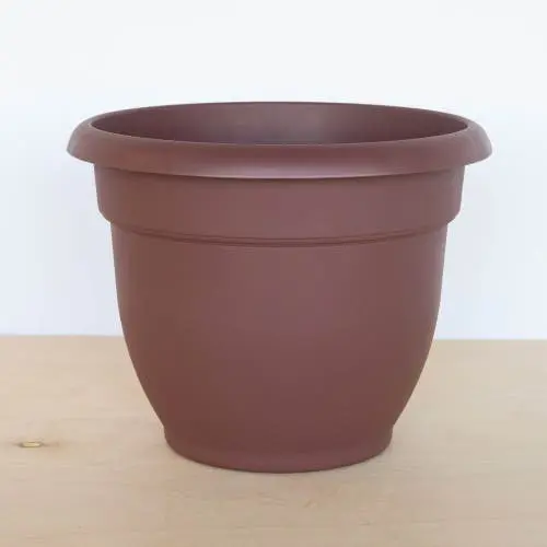 BLOEM Ariana 13 Inch X 7 Inch Gardening Pot
