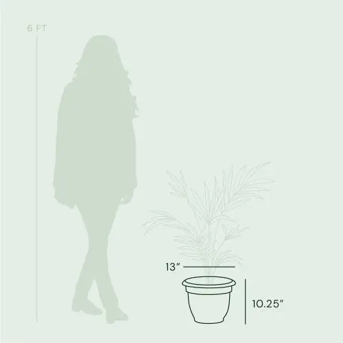 BLOEM Ariana 13 Inch X 7 Inch Gardening Pot