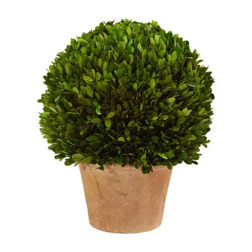 NEARLY NATURAL 15-in Boxwood Ball Preserved Plant In Planter - Green