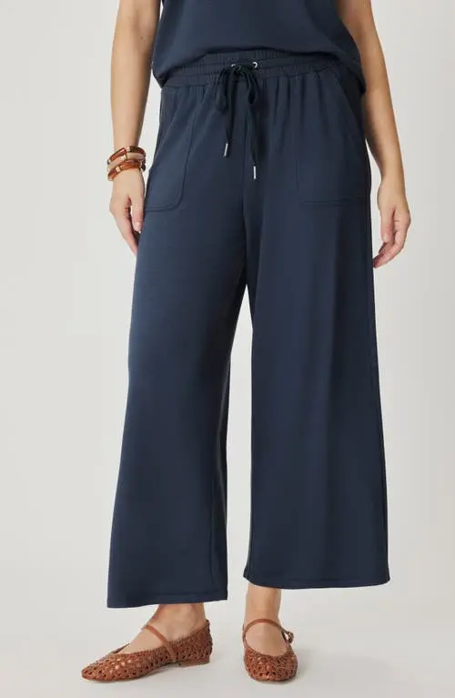 Splendid Jada Drawstring Pants - Navy
