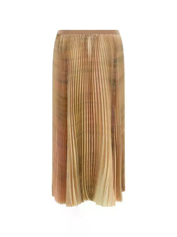 Fabiana Filippi Printed Pleated Skirt