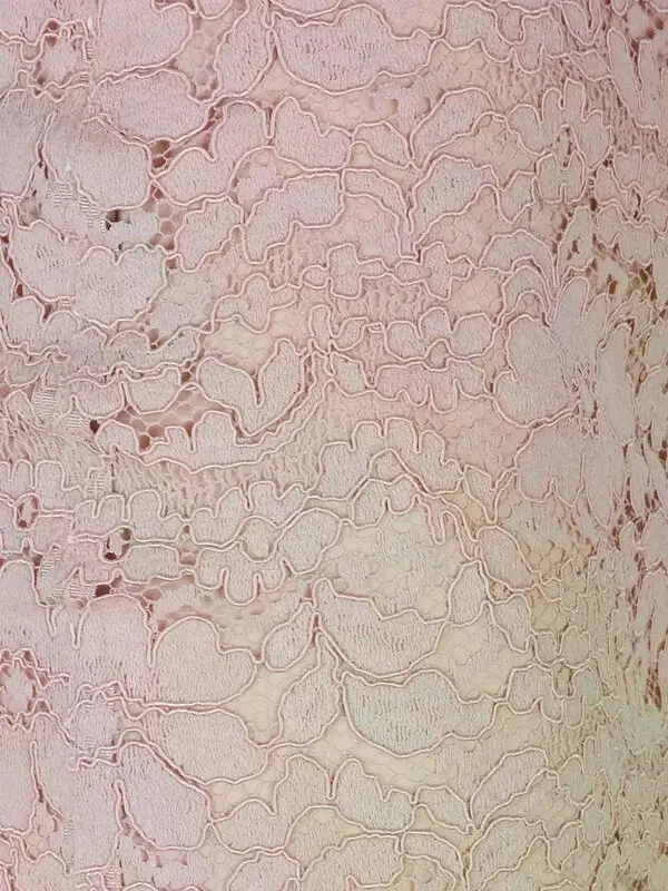 GIANLUCA CAPANNOLO Floral-lace Skirt - Pink