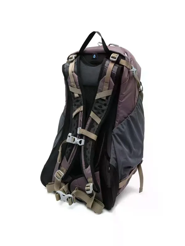 OSPREY Hikelite 26 Hiking Backpack