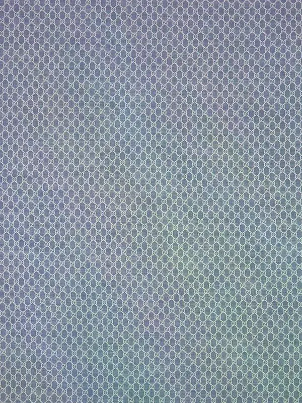 Gucci Fringed Logo-pattern Shawl - Blue