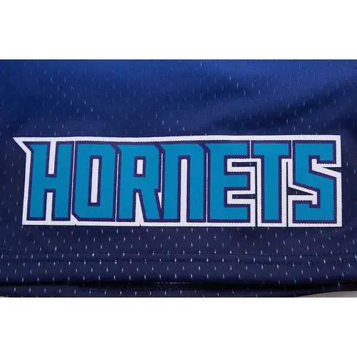 PRO STANDARD Lamelo Ball Charlotte Hornets Name & Number Shorts - Navy