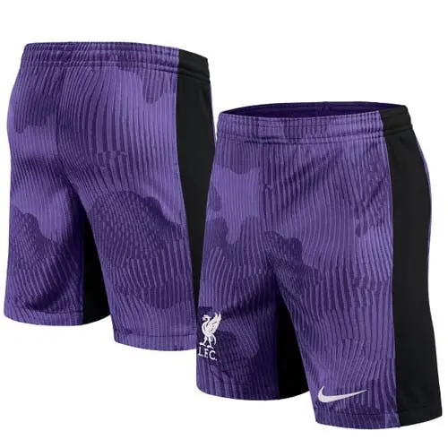 Nike Youth Liverpool 2023/24 Third Stadium Performance Shorts - Purple