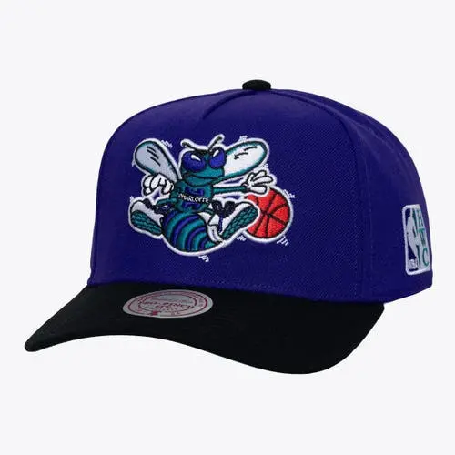 Mitchell & Ness Charlotte Hornets Legendary Home Pro Pinch Snapback Hat - Purple