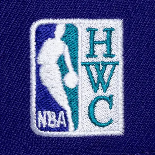 Mitchell & Ness Charlotte Hornets Legendary Home Pro Pinch Snapback Hat - Purple