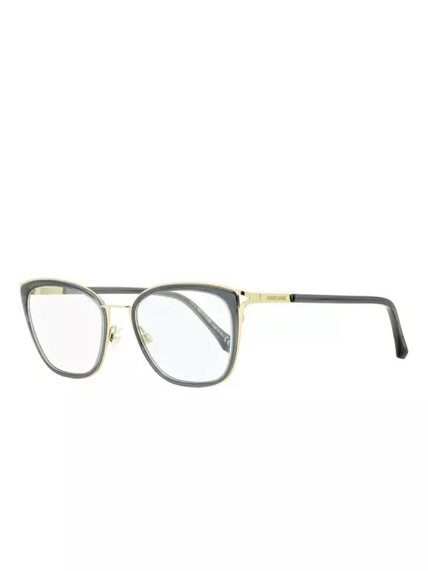 Roberto Cavalli Maremma Eyeglasses - Grey