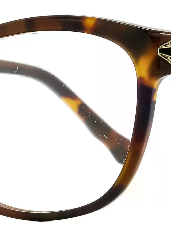 Roberto Cavalli Bibbiena Eyeglasses