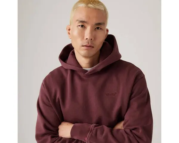 LEVI'S Authentic Hoodie Sweatshirt