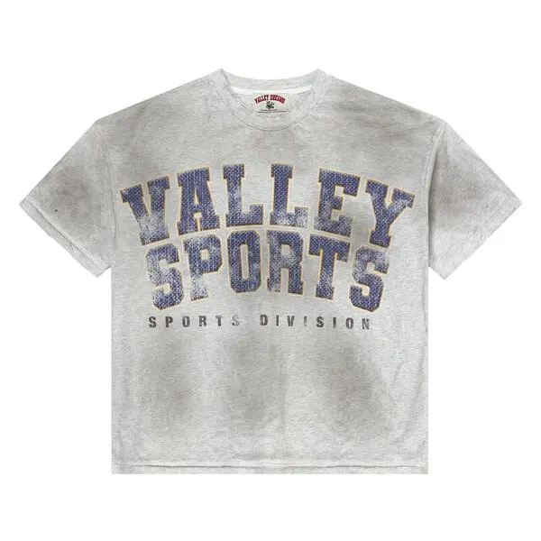 VALE FOREVER Sports Division Tee 'gym - Grey