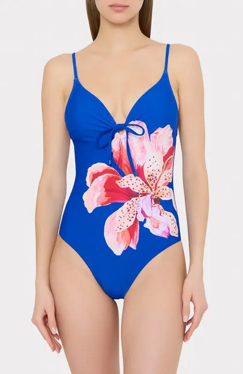 MILLY Songe Diris One-piece Swimsuit - Blue Multi