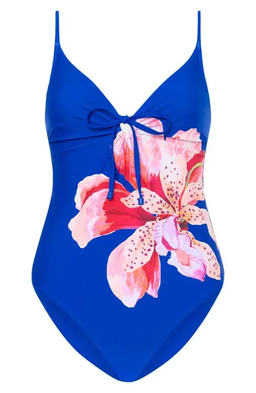 MILLY Songe Diris One-piece Swimsuit