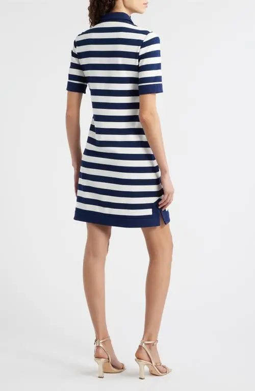 Eliza J Striped Knit Shift Dress