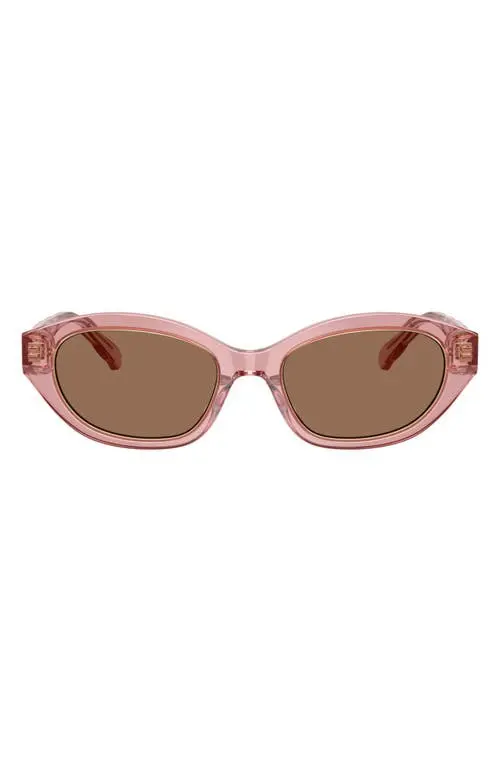 Tory Burch 52mm Polarized Irregular Sunglasses - Transparent Pink/dark Brown