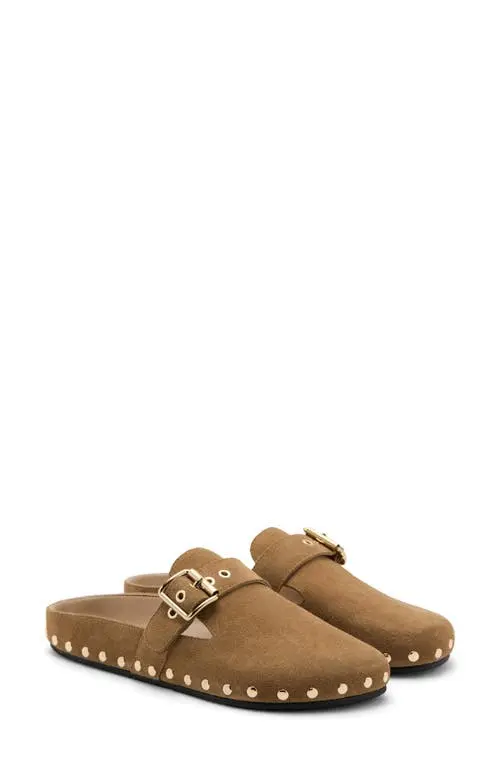 Mango Studded Leather Mule