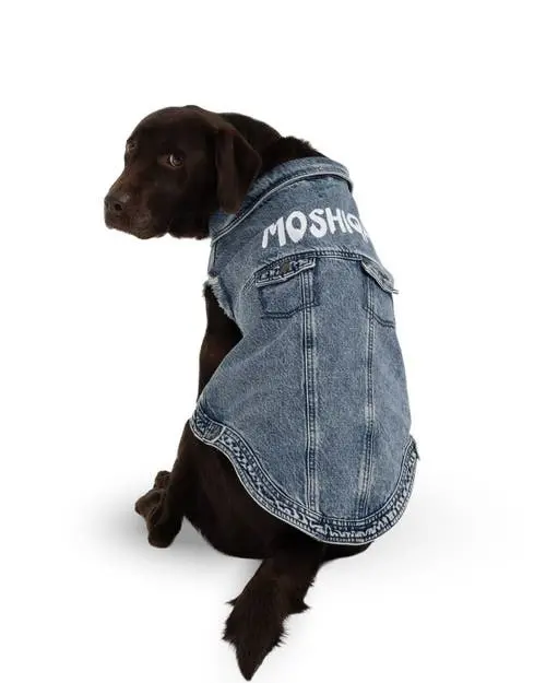 MOSHIQA Denim Dog
