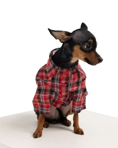 MOSHIQA Johnny Dog Shirt