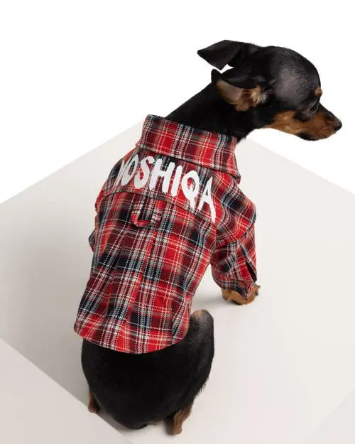 MOSHIQA Johnny Dog Shirt