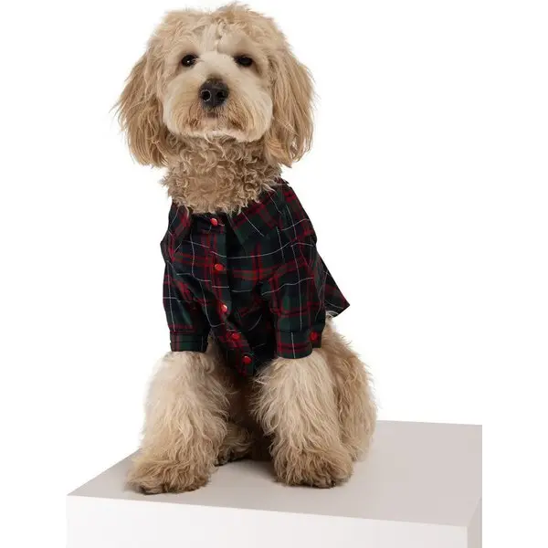 MOSHIQA Brad Dog Shirt