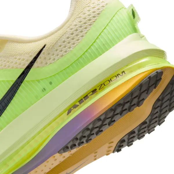 Nike Pegasus Premium Road Running Shoes