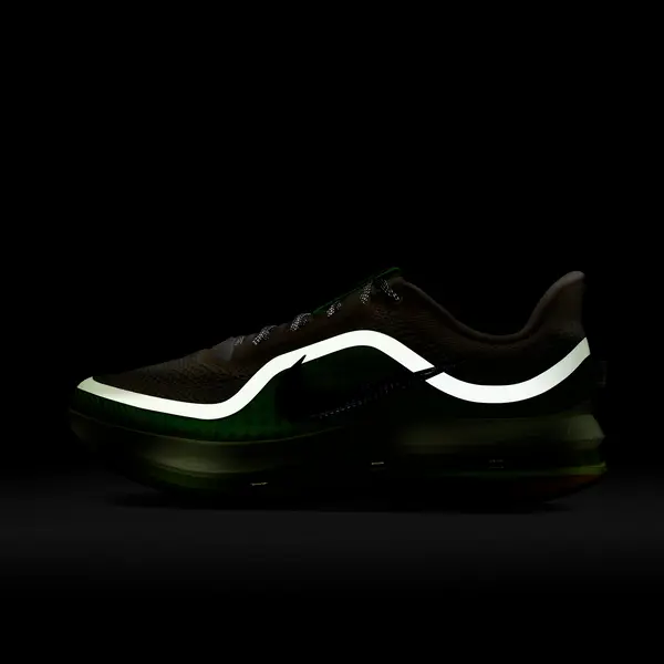 Nike Pegasus Premium Road Running Shoes
