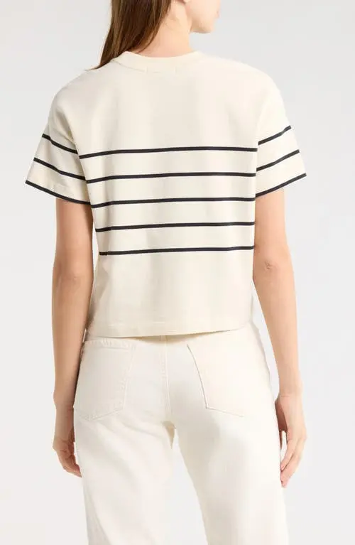Marine Layer Stripe Cotton T-shirt