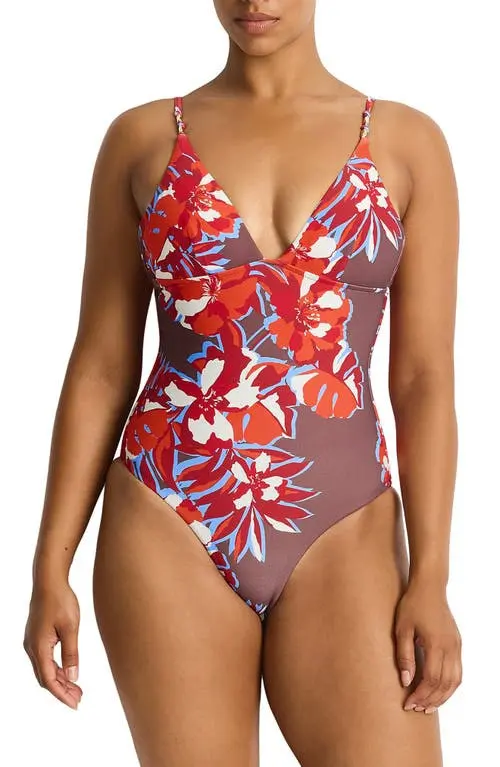 SEA LEVEL Triangle One-piece Swimsuit - Chocolate