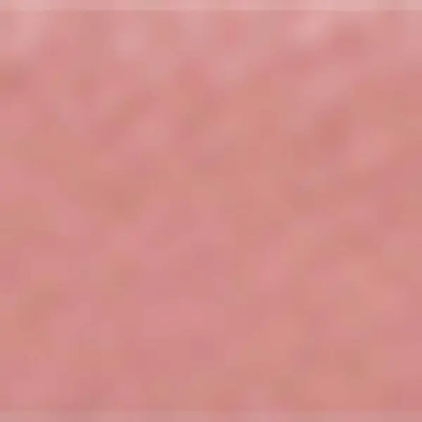 Loewe Leather Anagram Petal Slides - Pink