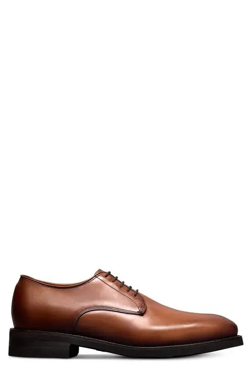 Allen Edmonds Ramsey Derby - Walnut