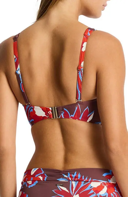 SEA LEVEL Cross Front Multifit Bikini Top - Chocolate
