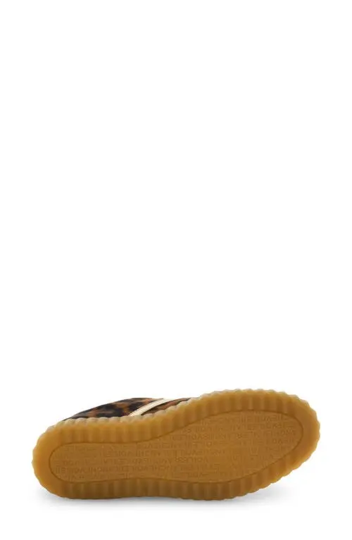 VOILE BLANCHE Ines Sneaker - Brown