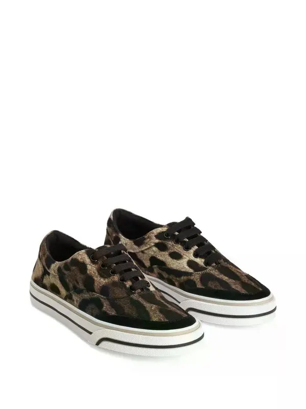 Dolce & Gabbana Dg Sailing Printed Canvas Sneakers - Brown