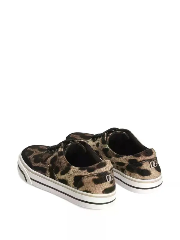 Dolce & Gabbana Dg Sailing Printed Canvas Sneakers - Brown