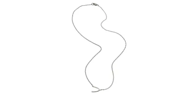 Jennifer Zeuner Jewelry Lily Wishbone Pendant Necklace - One-color