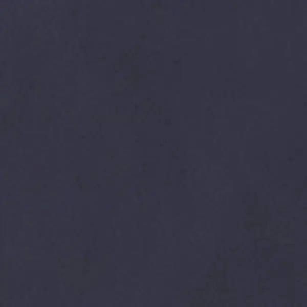 Moncler Swim Shorts - Navy