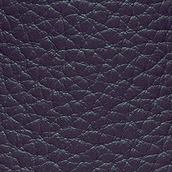 CARAN D'ACHE Leather Léman Pen Holder - Blue