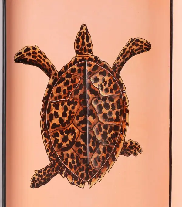 LES-OTTOMANS Iron Turtle Tray